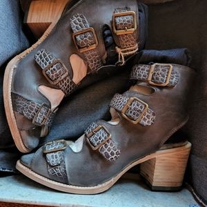 Freebird by Steven | Shoes | Freebird Quail | Poshmark